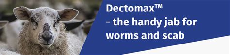 Dectomax™ Injection For Sheep 🐑 One Joseph Walls Ltd