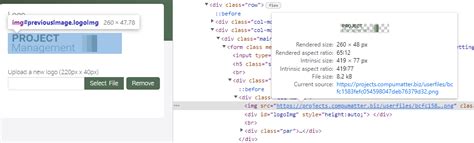 Bug Uploading Logo Has No Effect · Issue 1244 · Leantimeleantime