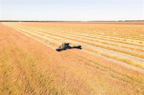 Drone De Vista A Rea Do Campo De Colheita Com Trator Corta Grama Seca