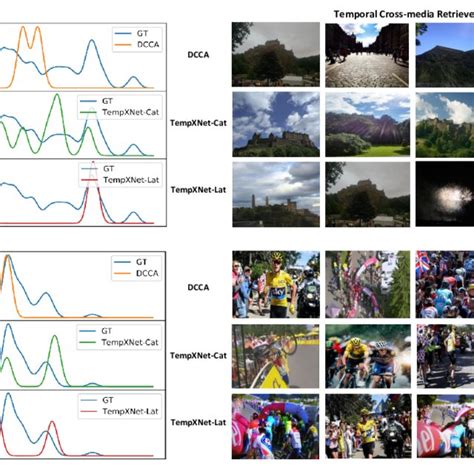 Quantitative Analysis Of The Different Temporal Correlations On The