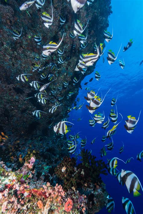 Definición De Talud Continental