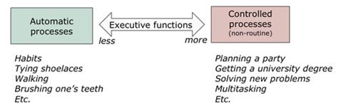 Executive Functions Flashcards Quizlet