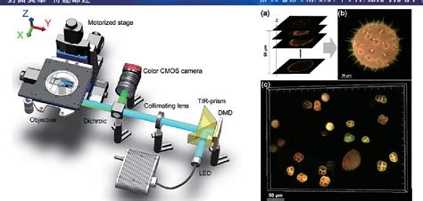 Figure 1 From Recent Advances In Super Resolution And Optical Sectioning Of Digital