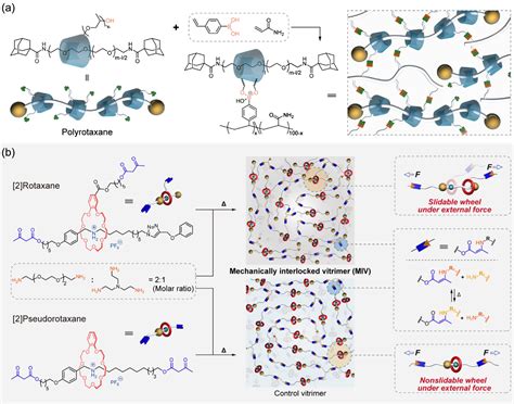 Synergistic Dual Dynamic Bonds In Covalent Adaptable Networks Ccs Chemistry