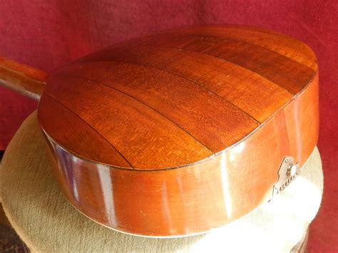 Mandriola Or 12 String Mandolin