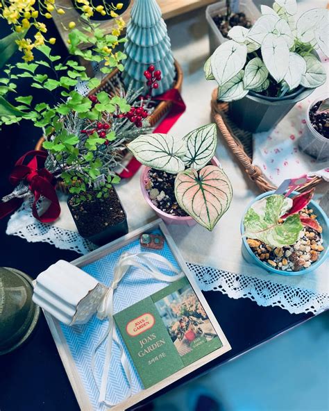 서울 눈이 제법왔어요🥰남산이 새하얗게되어 옴청 멋지더라구요🥰 다행히 날이 춥지않아 도로는 다 녺아서 잘 도착했답니다 셋팅마치고 정신없이 있다보면 늘 판매되고 빈공간많은