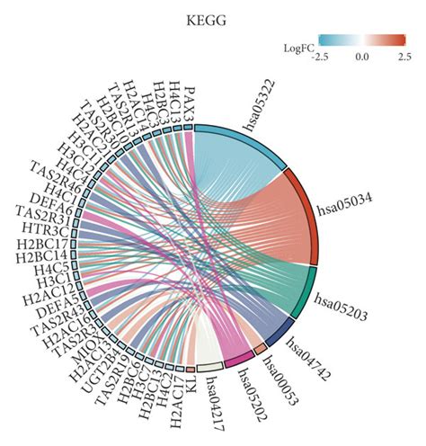Circle Plot Of Lymphoid Metastasis Related Genes Go And Kegg Enrichment Download Scientific