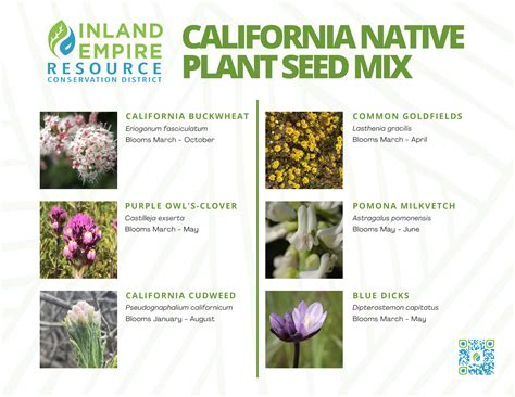 Seed Mix Inland Empire Resource Conservation District
