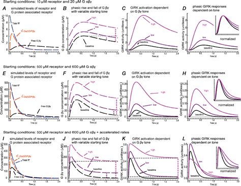 Co‐activation Of Gpcrs Facilitate Girk‐dependent Current Condon