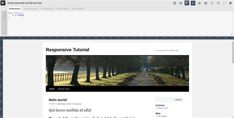Test Site Tools And Htmlcss Basics Microthemer
