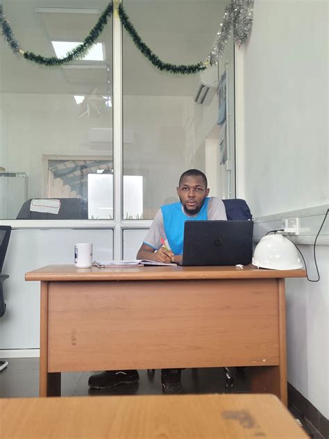 gideon okike on linkedin webdevelopment dataanalysis sandwichpanel