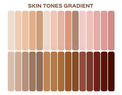 Colores De Piel Para El Rostro Y El Cuerpo Colores De Piel Paleta
