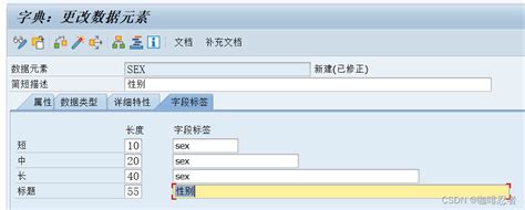 【sap Abap】1数据字典 1domain域sap Domain Csdn博客