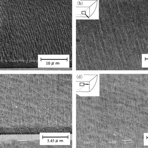 Microstructure At The Transition From Cellular Dendritic To Absolutely