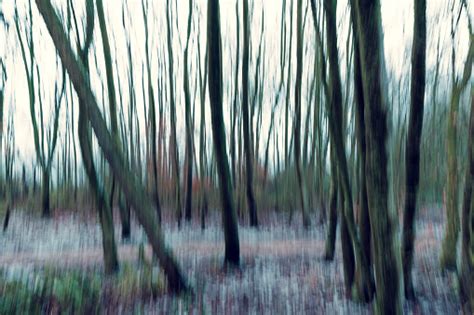 배경 모션 블러 겨울 숲 개요 0명에 대한 스톡 사진 및 기타 이미지 0명 겨울 모션블러 Istock