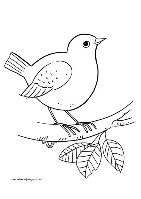 Ilustracije In Risarije Pobarvanke