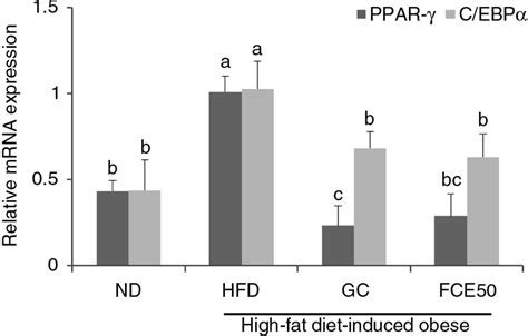 Effect Of 50 Ethanol Extract From Fermented Curcuma Longa L Fce50