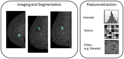 A Graphical Representation Of The Features Extraction Process In A