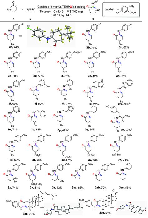 Reaction Of Cyclic Ketones With Primary Amines A A Reaction Download Scientific Diagram