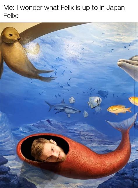 Felix Shellberg Rpewdiepiesubmissions