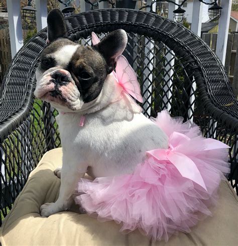 Isabelle Izzy Furry People Productions