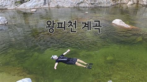 울진 왕피천 계곡 스노클링 Youtube