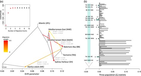 Tests Of Migration Inferred By Treemix A Maximum‐likelihood