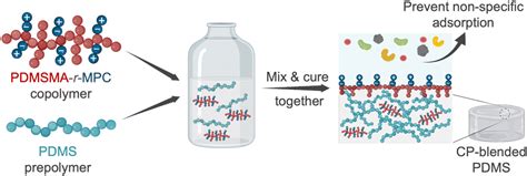 Surface Segregating Zwitterionic Copolymers To Control Polydimethylsiloxane Surface Chemistry