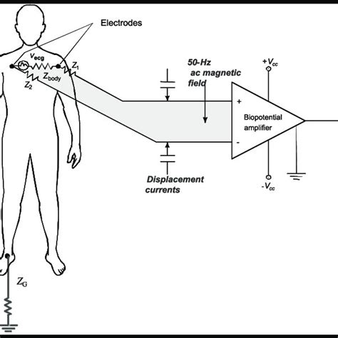 Capacitive Principle For Electrostatic Shielding Download Scientific Diagram