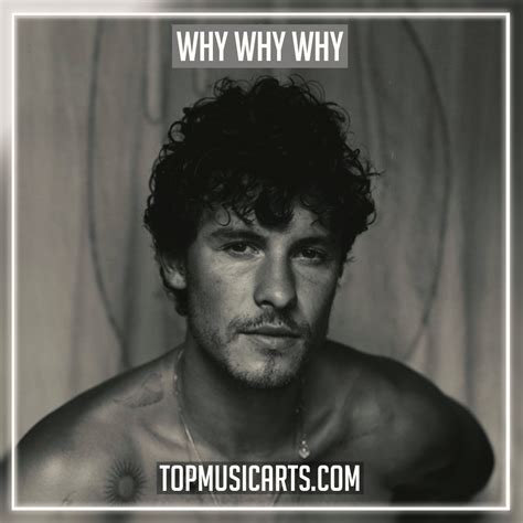 Shawn Mendes Why Why Why Ableton Remake Pop Top Music Arts