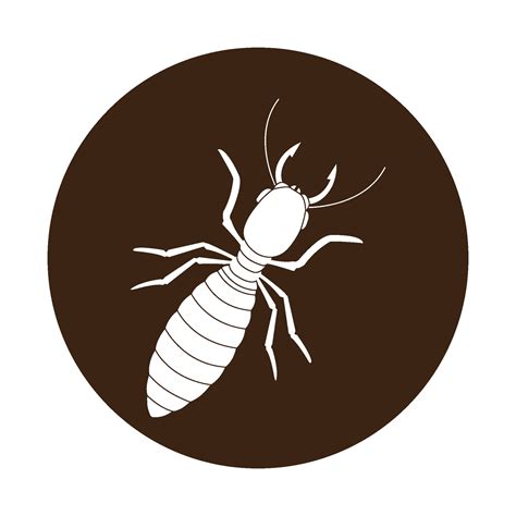 Termite Icon Design 46750029 Vector Art At Vecteezy