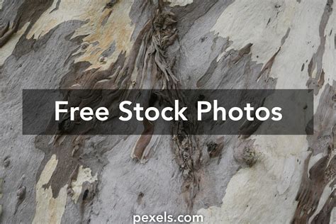 Sexmitmikropenisandformqblhandsp 1andghc1andlq0andpqsexmitmikropenisandsc