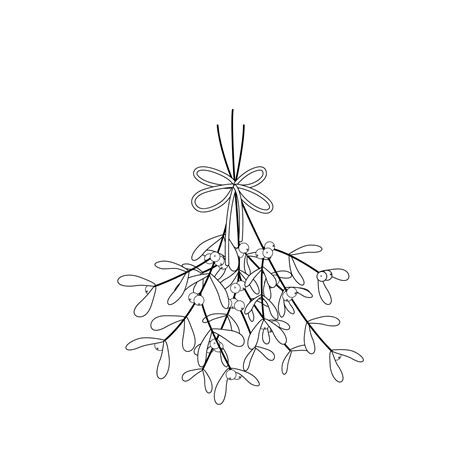 Mistletoe Vector Black And White