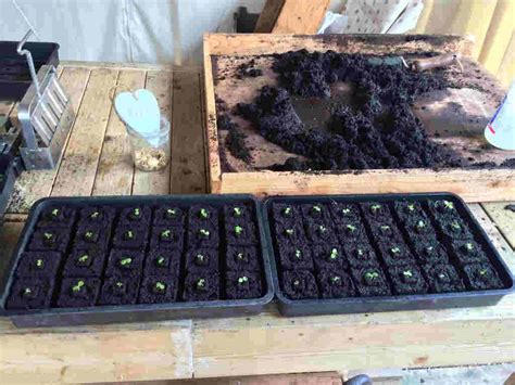 Soil Blocker Webinar 01 2224 Mother Earth News