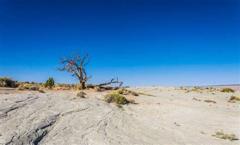 Land Degradation And Desertification Era