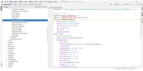 使用mmsegmentation训练数据集流程mmseg 模型训练可以使用多个数据集吗 Csdn博客