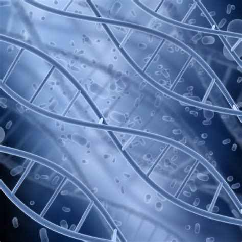 Modelisation Structure Cellulaire Photos Téléchargez Gratuitement Des Images De Haute