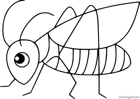 Simple Grasshopper Free Coloring Pages Coloring Cool Simple Grasshopper Free Coloring Pages Coloring Cool