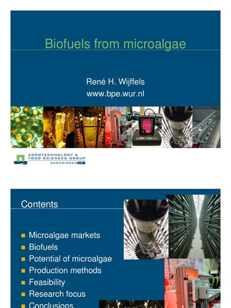 PDF Biofuels From Micro Algae DOKUMEN TIPS
