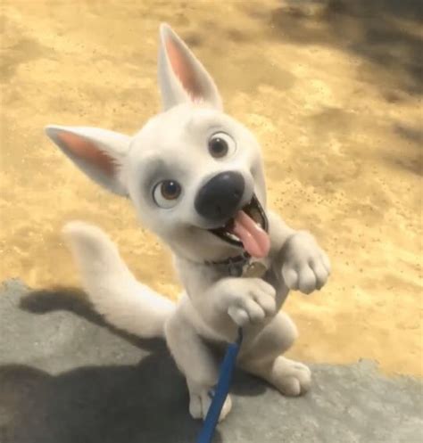 Bolt As A Puppy