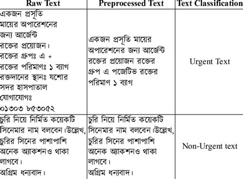 data preprocessing and classification of the preprocessed data