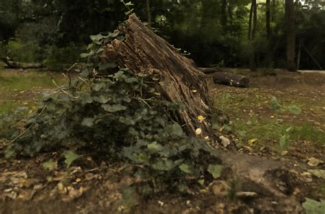 Global Structure From Motion Revisited