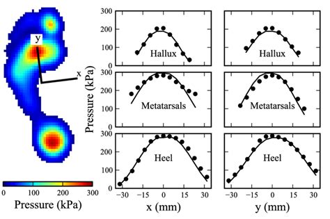 Model Fitting Results 2d Example Data From Chronologically First