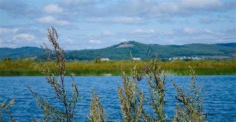 De 15 Længste Floder I Verden Og Deres Længde I Km 2025