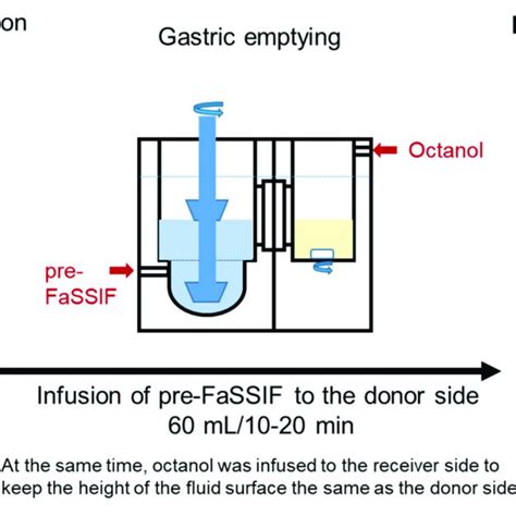 Effect Of Initial Fassgf Ph On The Dissolution A And Permeation B