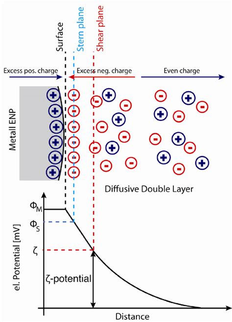 10 The Double Layer Model Demonstrated On A Charged Metallic Nanoparticle Download Scientific