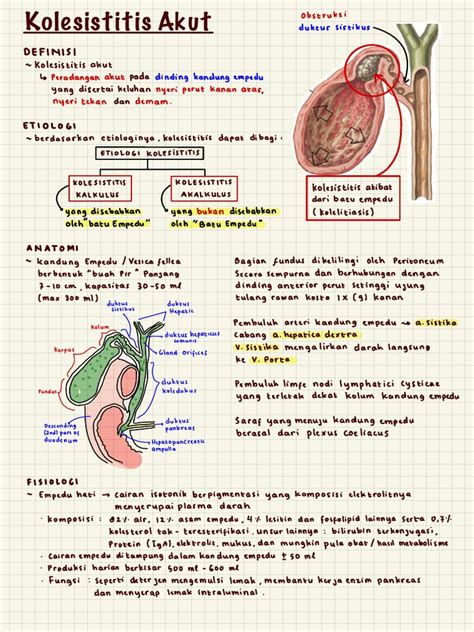 Kolesistitis Akut Pdf