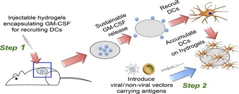 In Situ Modulation Of Dendritic Cells By Injectable Thermosensitive Hydrogels For Cancer