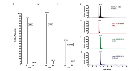 LC MS Analysis Of Spiked Human Plasma With DMA MMA And DMA D9 M H Download Scientific