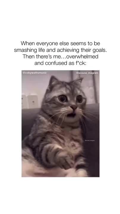 Shaurya Sinha On Linkedin First Seeing My School Friends Score Better